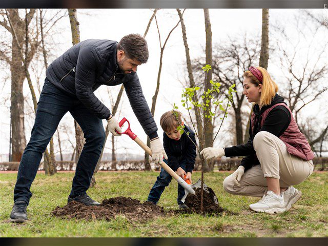 Ten Rules for Planting Trees - KFRM Radio 550 AM