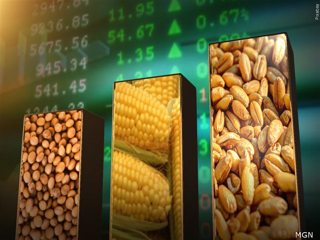 Sen. Marshall and Ambassador Doud: Russian chaos in Ukraine hurts world ...