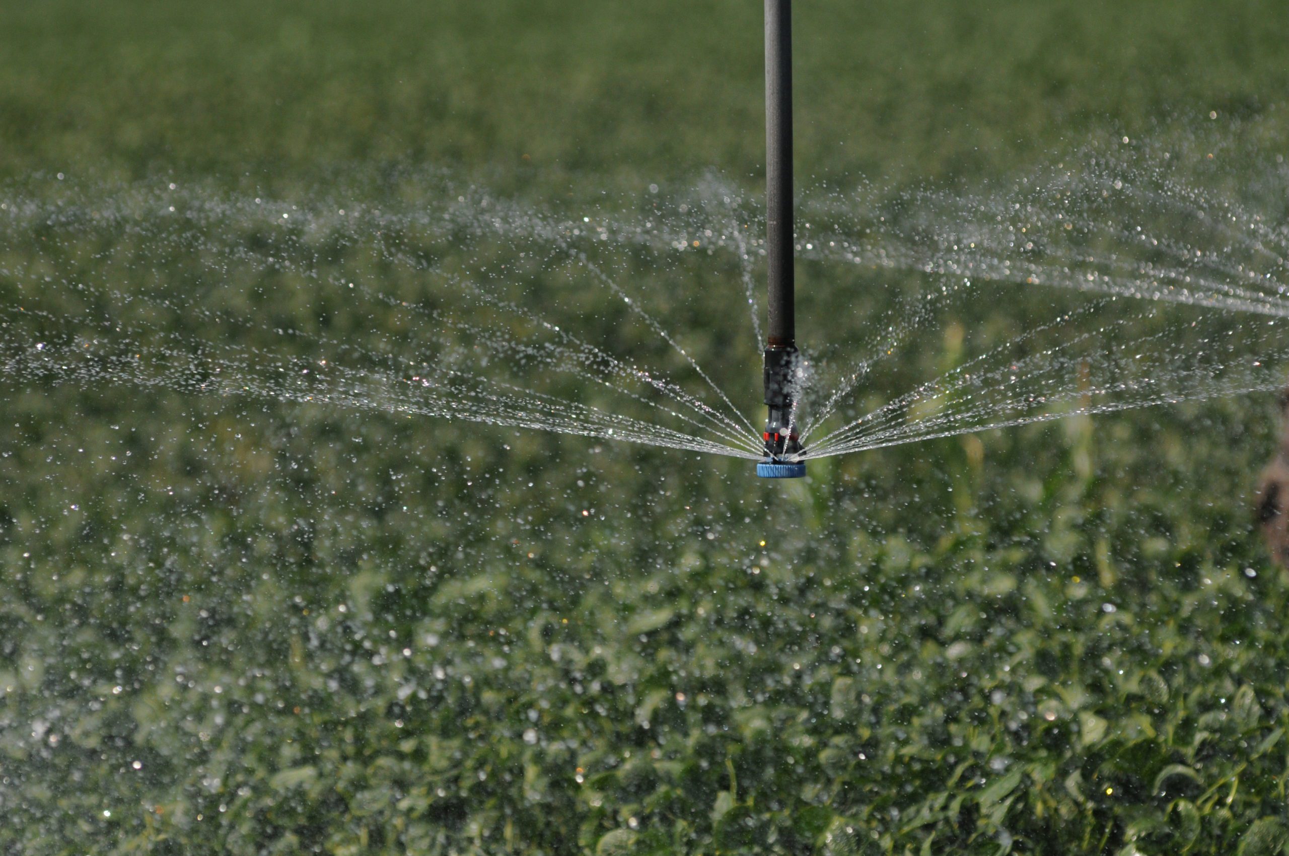 Researchers Taking Team Approach to Kansas’ Water Challenges - KFRM ...